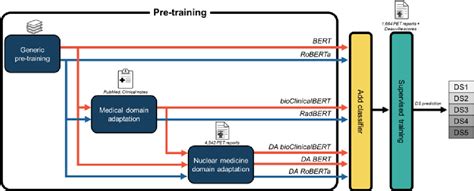 Figure 3 From Domain Adapted Large Language Models For Classifying Nuclear Medicine Reports