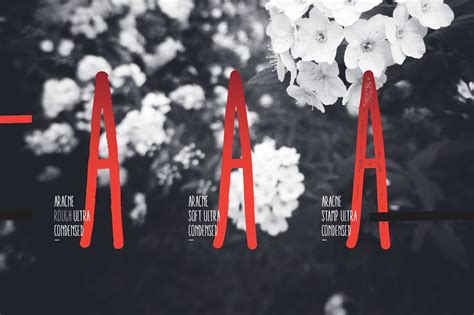 Aracne Ultra Condensed Font By Antipixel · Creative Fabrica