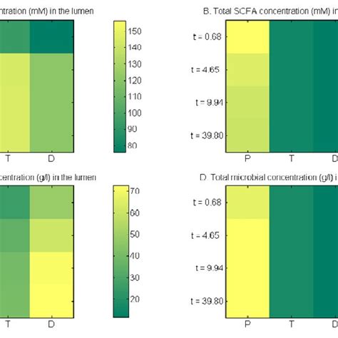 Overall Fermentation Pattern In The Human Colon P Proximal Colon T