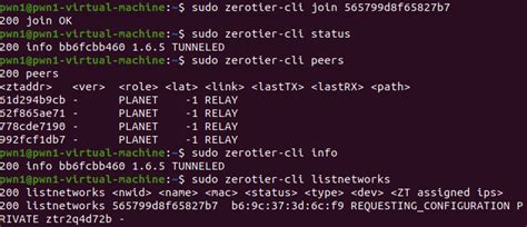 How Do I Troubleshoot Zt1 On My Ubuntu Linux Zerotier Discussions