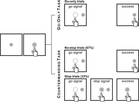 Temporal Sequence Of The Visual Displays For Each Task All Trials