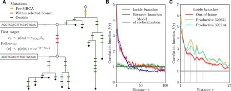 Co Localization Of Subsequent Hypermutations A Co Localization Model Download Scientific