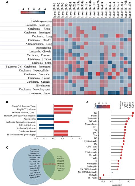 Bioinformatics Analysis Of Differential Mirnas A Heatmap Of Download Scientific Diagram