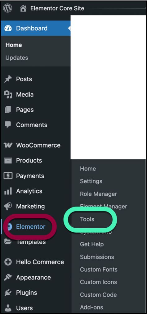 Common Troubleshooting Steps Elementor