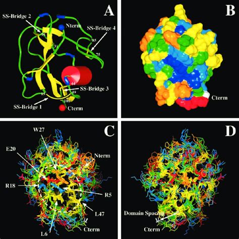 A Cartoon Representation Of The M2bp Srcr Domain Structure Red A Download Scientific Diagram