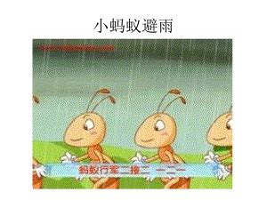 小蚂蚁避雨演示 1