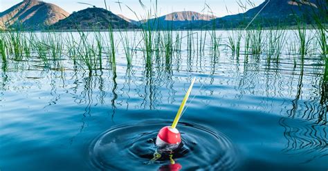 Bobber Fishing For Bass Tips For Float Fishing Success
