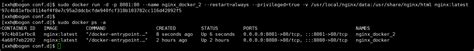 Docker离线部署Nginx 熊仔其人 博客园