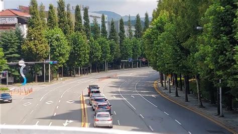 직진 후 직좌 후 직진 신호등 Youtube