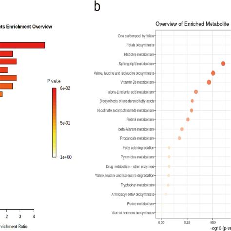 A Bar Graphs Of The Differential Metabolic Pathways B General Download Scientific Diagram