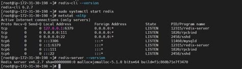 Install Redis On Amazon Linux 2 Official