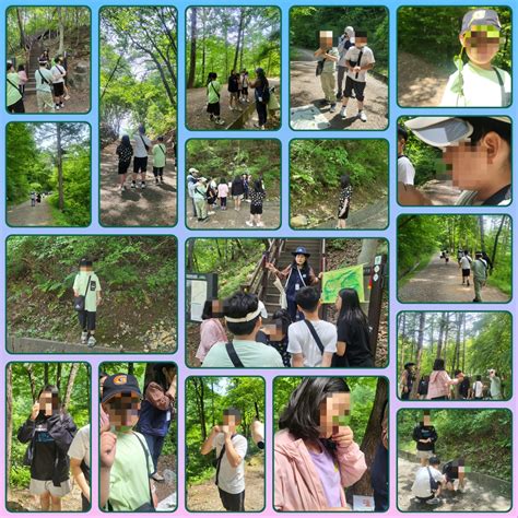 비장애형제자매정서지원초등부이야기가 사는 숲 놀이터 갤러리 옥천군장애인가족지원센터