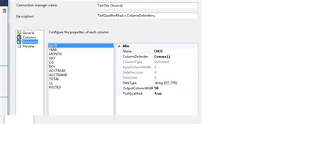 Strange Issue With Ssis Package Flat File Source Does Not Show The First Row In Preview Mode