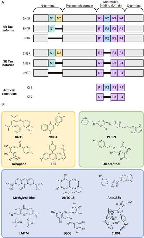 Overview Of Tau Sequence And Anti Aggregation Moieties A Schematic
