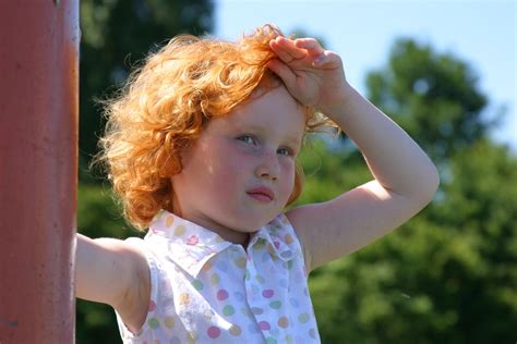 Json Pointer Публичная документация Красная мина