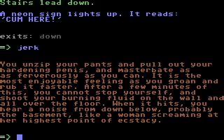 Another Sex Adventure Commodore Game Download Disk Tape Music Lemon