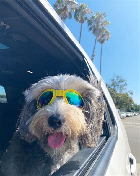 Sukisuki U Sukisukigirl Reddit