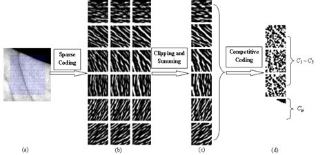 The Multiscale Competitive Code Via Sparse Representation For Palmprint Verification ZERO Lab