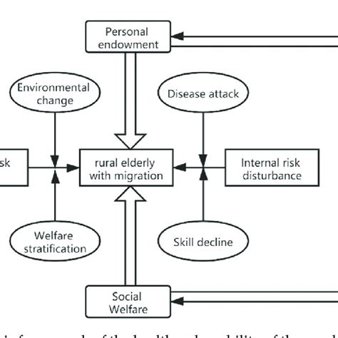Theoretical Analysis Framework Of The Health Vulnerability Of The Download Scientific Diagram