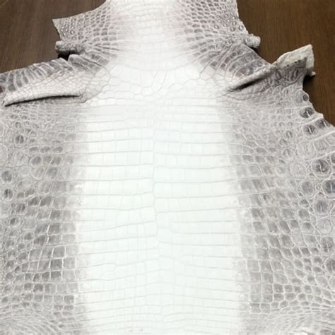 神戸で本物のヒマラヤクロコダイルに出会ってください