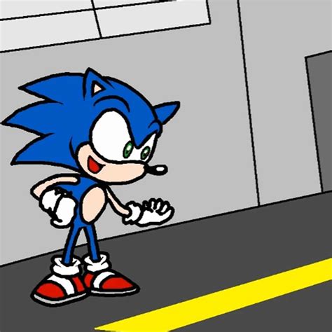 Sonic The Hedgehog Moto