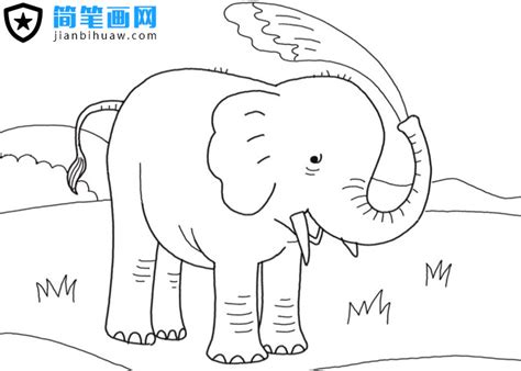 大象用鼻子吸水洗澡的简笔画 简笔画网