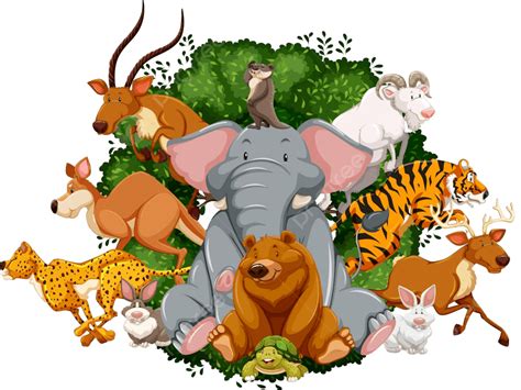 Wildlife Wildlife Carnivore Clipart Vector Wildlife Carnivore