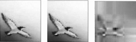 Visualizations Of The Feature Map Based On Svd The First Picture Is