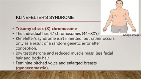 Basic Genetics Sex Determination Genetic Disorders Chromosomal Disorder Ppt