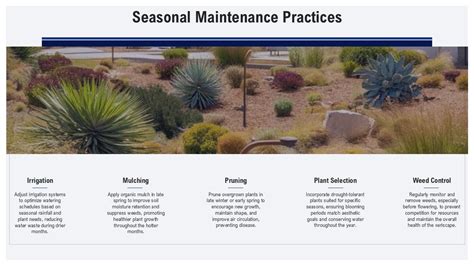 Xeriscape Water Efficient Landscaping Sustainable Gardening Ppt Example St Ai Ppt Slide
