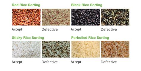 Wesort Paddy Seed Sorter And Grader Paddy Seed Processing Machine Afrimart Online