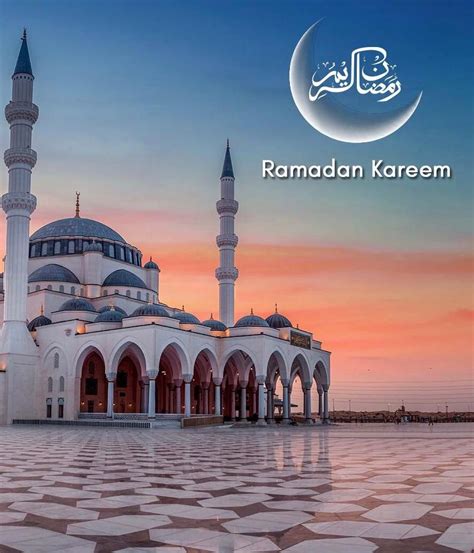 Rifad Shaikh Posted On Linkedin