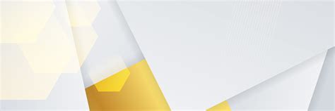 추상적인 흰색 회색과 금색 배경 포스터와 다이나믹 라인 웨이브 기술 네트워크 벡터 일러스트레이션 사실적인 가벼운 모양으로