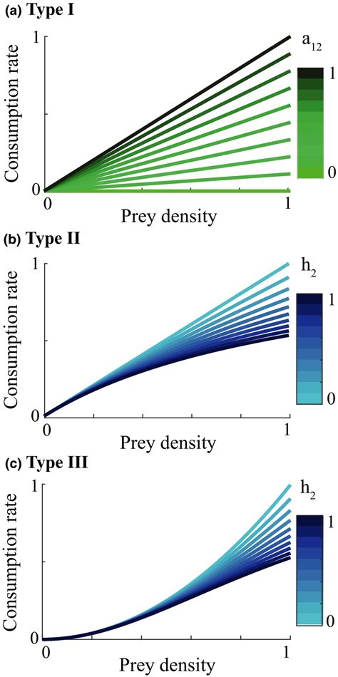 Functional Response Curves For Type I To III While Varying The Download Scientific Diagram