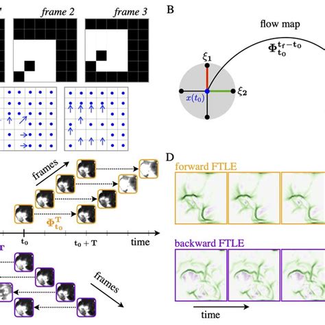 Finite Time Lyapunov Exponent Ftle Fields Are Computed From Download Scientific Diagram