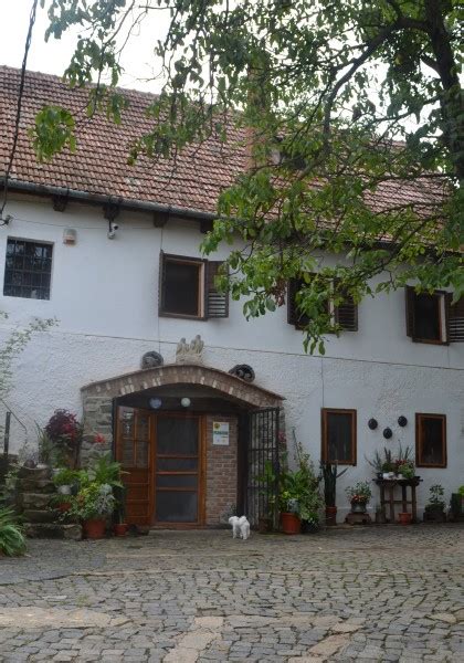 At Amadeusandmonica Cnipt Arad