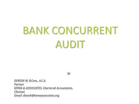 Bank Concurrent Audit Pdf