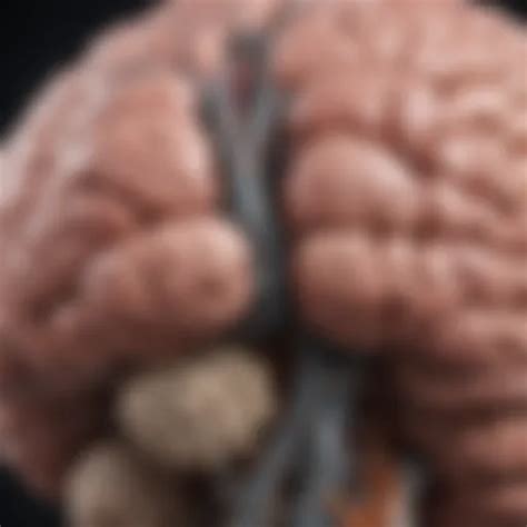 Understanding Vascular Calcification And Its Impact