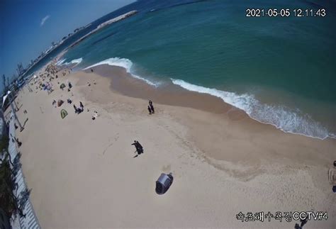 Yolo Object Detection Dataset By Yolo