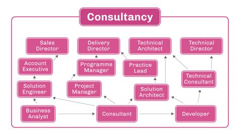 Ultimate Guide To Salesforce Career Paths Infographic Salesforce Ben