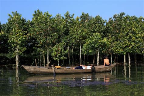 Озерная школа как вьетнамцы построили жизнь вокруг воды — Нож