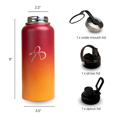 Signature B Logo 32oz Stainless Steel Water Bottle Bright Line™ Emporium