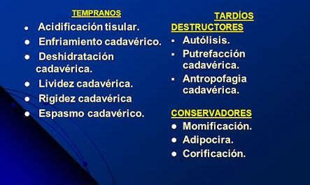 Los Fenómenos Cadavéricos