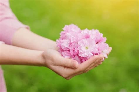 最近很红的10句话，送给所有人！机会时候我还活着