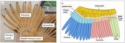 Poultry Science And Biotechnology