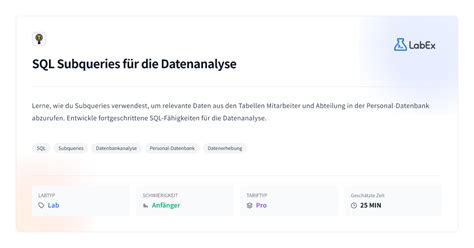 Sql Subqueries Datenbankanalyse Personal Datenbank Labex