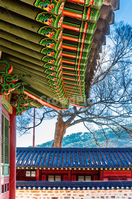 단청 선 패턴 고궁 문화유산 사진이미지일러스트캘리그라피 봉구58작가