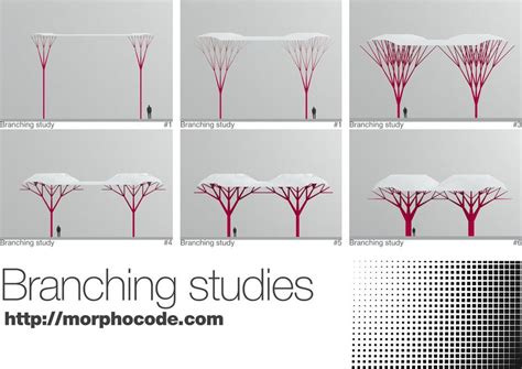 L Systems Rabbit Branching Supportive Structures Study Grasshopper