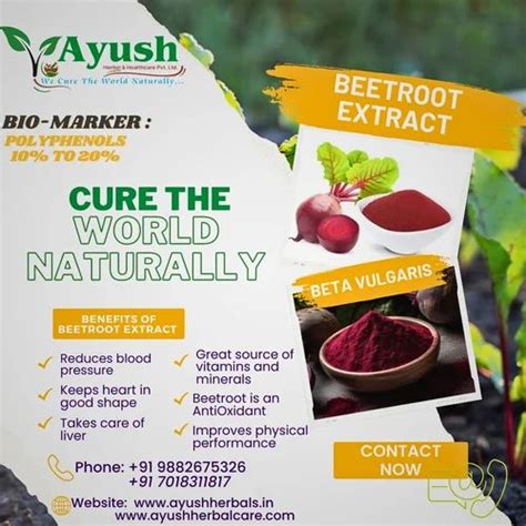Red Spray Dried Beet Root Powder Beetroot Extract At ₹ 850kg In Sirmaur