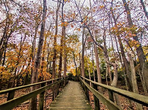 This 1 336 Acre State Park In Ohio Hides One Of The Best Beaches In The